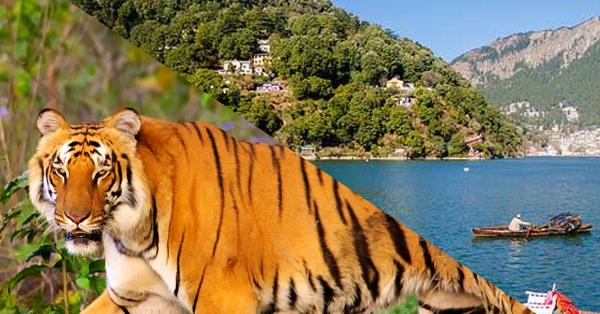 Corbett Nainital 2 Night Tour Package, Jim Corbett with Nainital tour ...